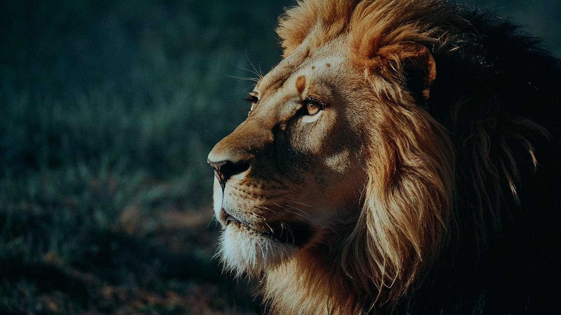 Suno AI Perfect Prompts - GPT Prompter für Musik & Lyric Prompts ...